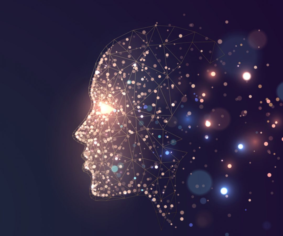 Ozion Airport Software Ozion Airport